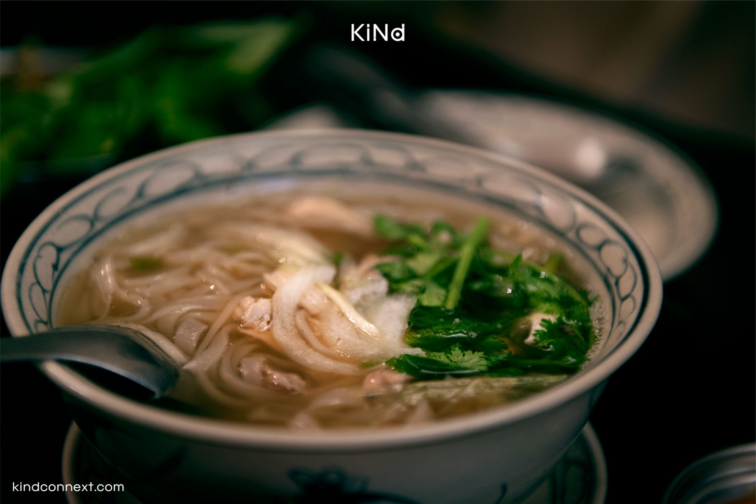 รู้จักเวียดนามผ่าน “เฝอ” – KiNdconnext