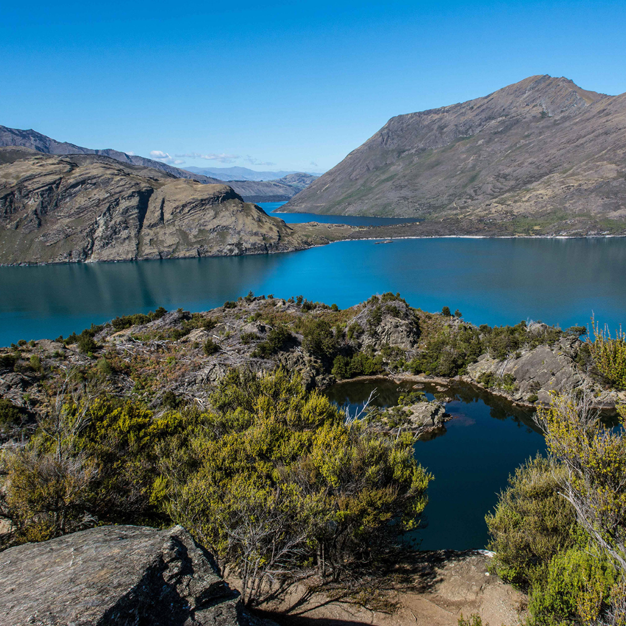 Arethusa Pool ทะเลสาบลับ ที่ซ่อนตัวอยู่ในนิวซีแลนด์ – KiNdconnext