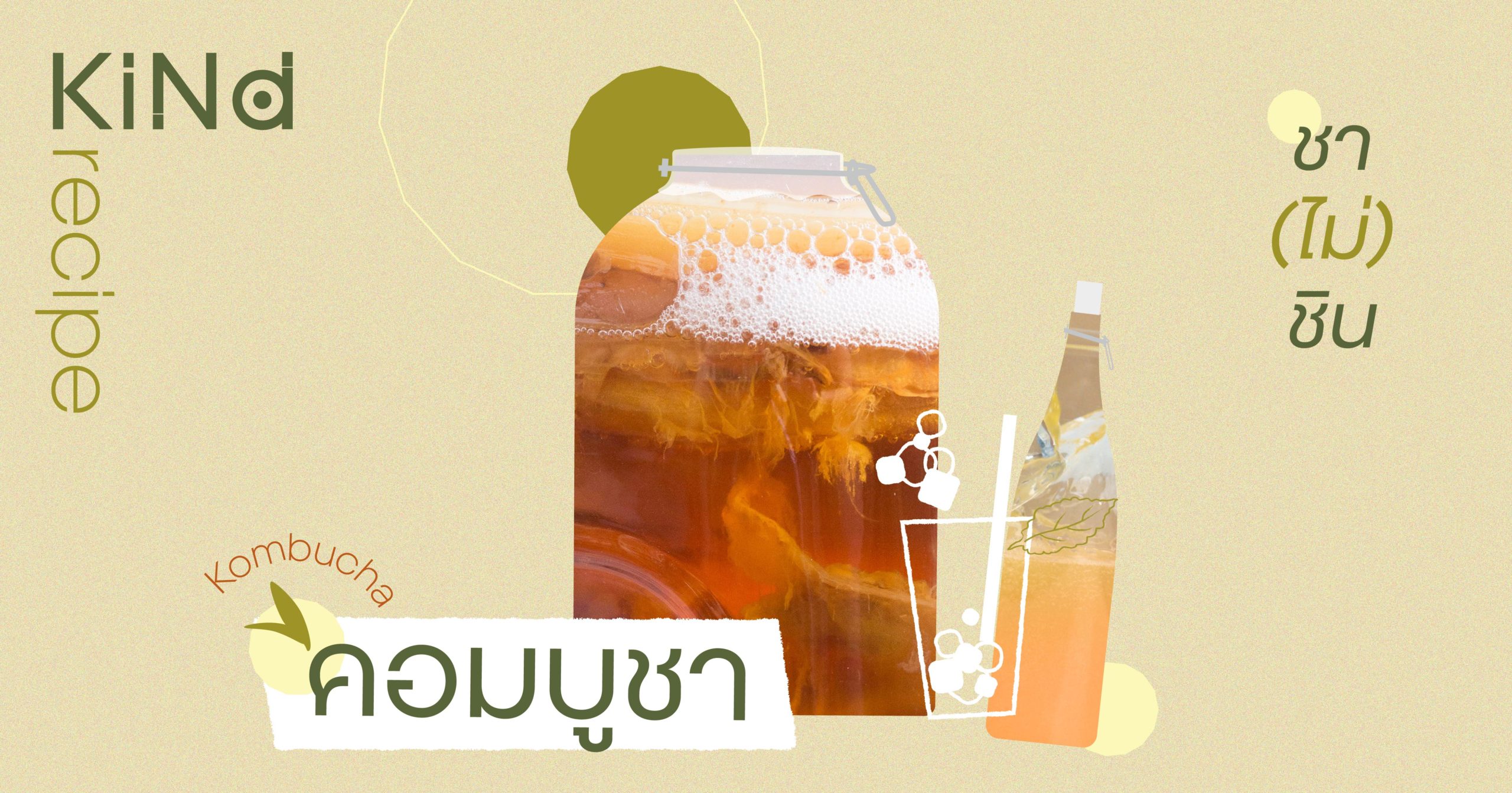 คอมบูชา ชา (ไม่) ชิน – KiNdconnext