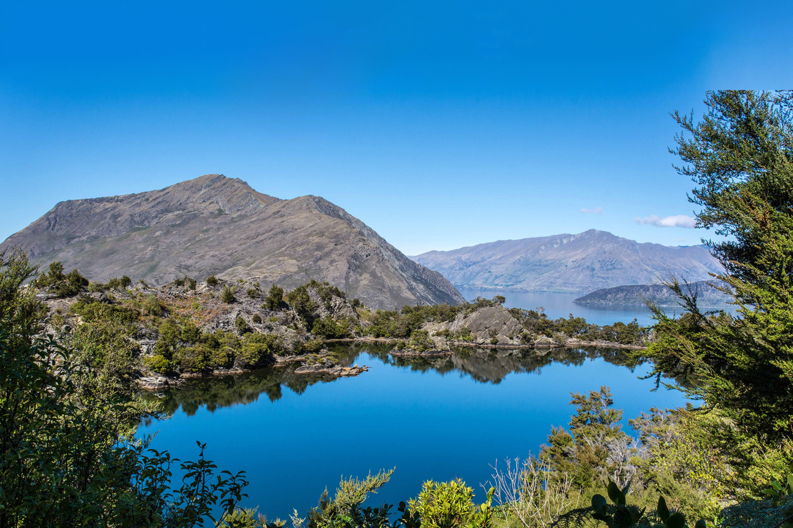 Arethusa Pool ทะเลสาบลับ ที่ซ่อนตัวอยู่ในนิวซีแลนด์ – KiNdconnext