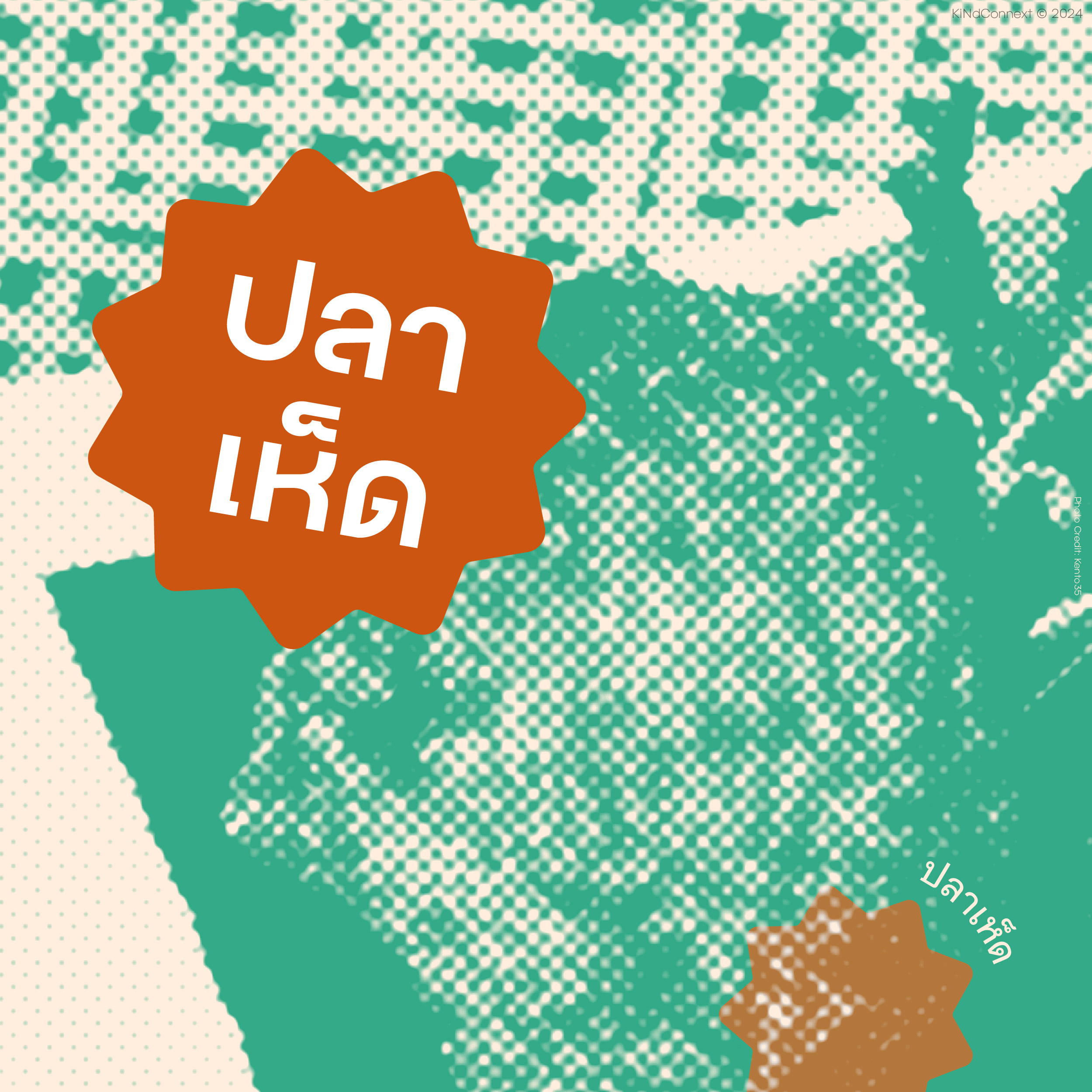 ชวนรู้จักศัพท์แปร่งหู ฉบับคนยุดยา – KiNdconnext